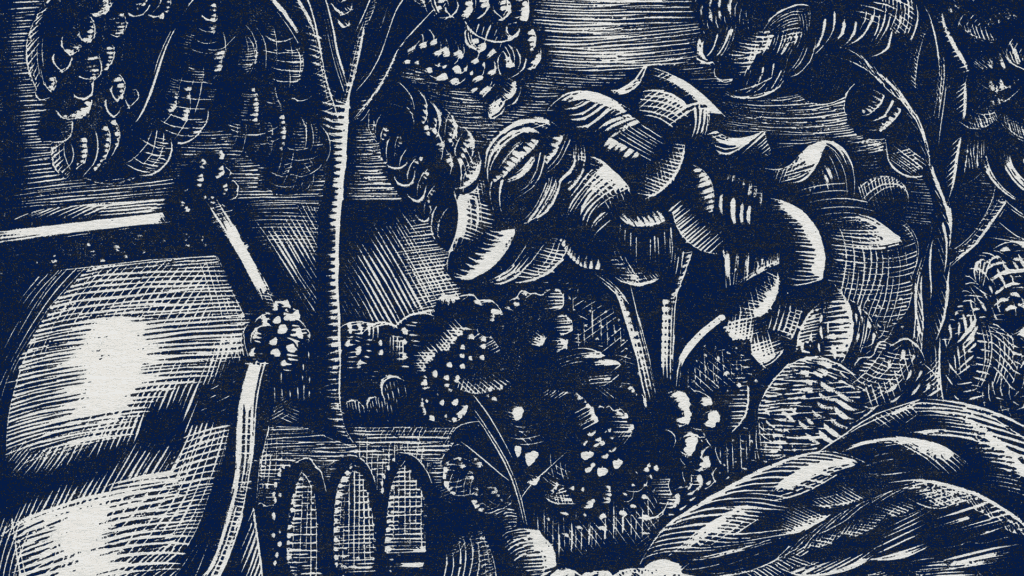 How to Discern - Comment Magazine